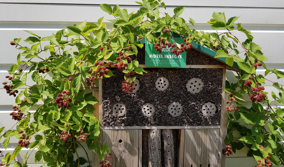 ELLE FENOMEN: Ce plantăm noi, cu mâinile noastre - Elle.ro